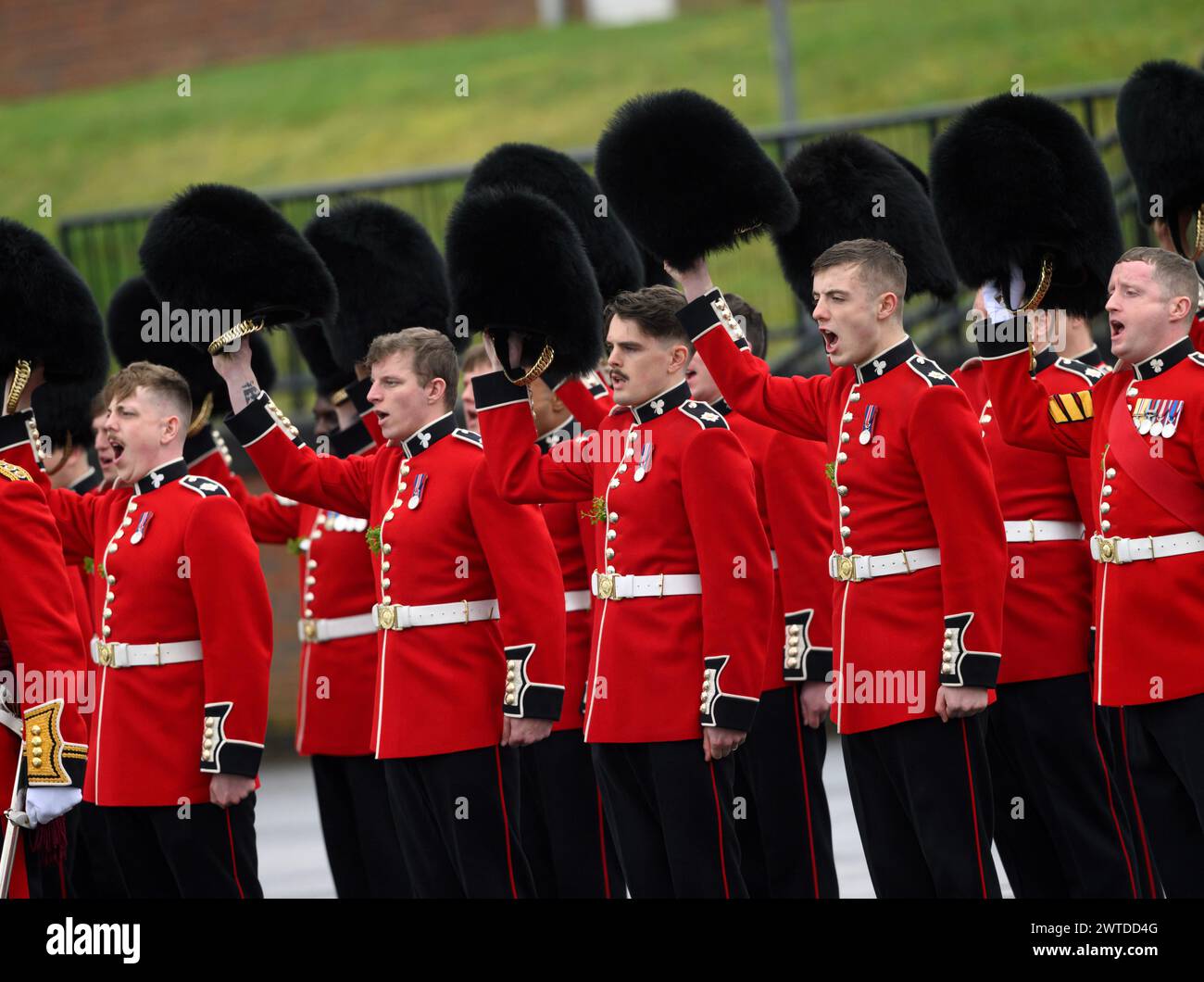 Aldershot, UK. March 17th, 2024. Irish Guardsmen, wearing a sprig of ...