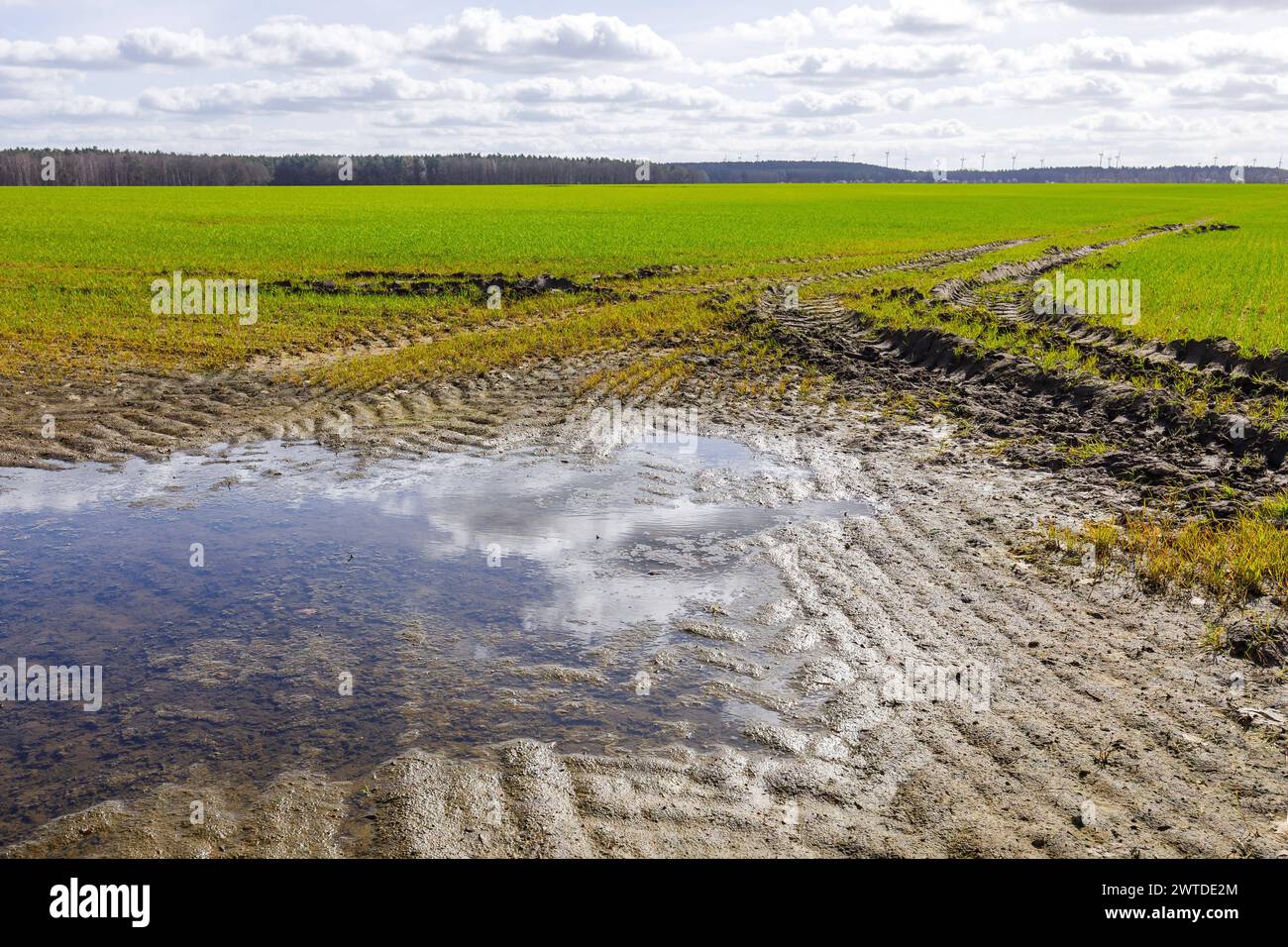 Waterlogged soils hi-res stock photography and images - Alamy