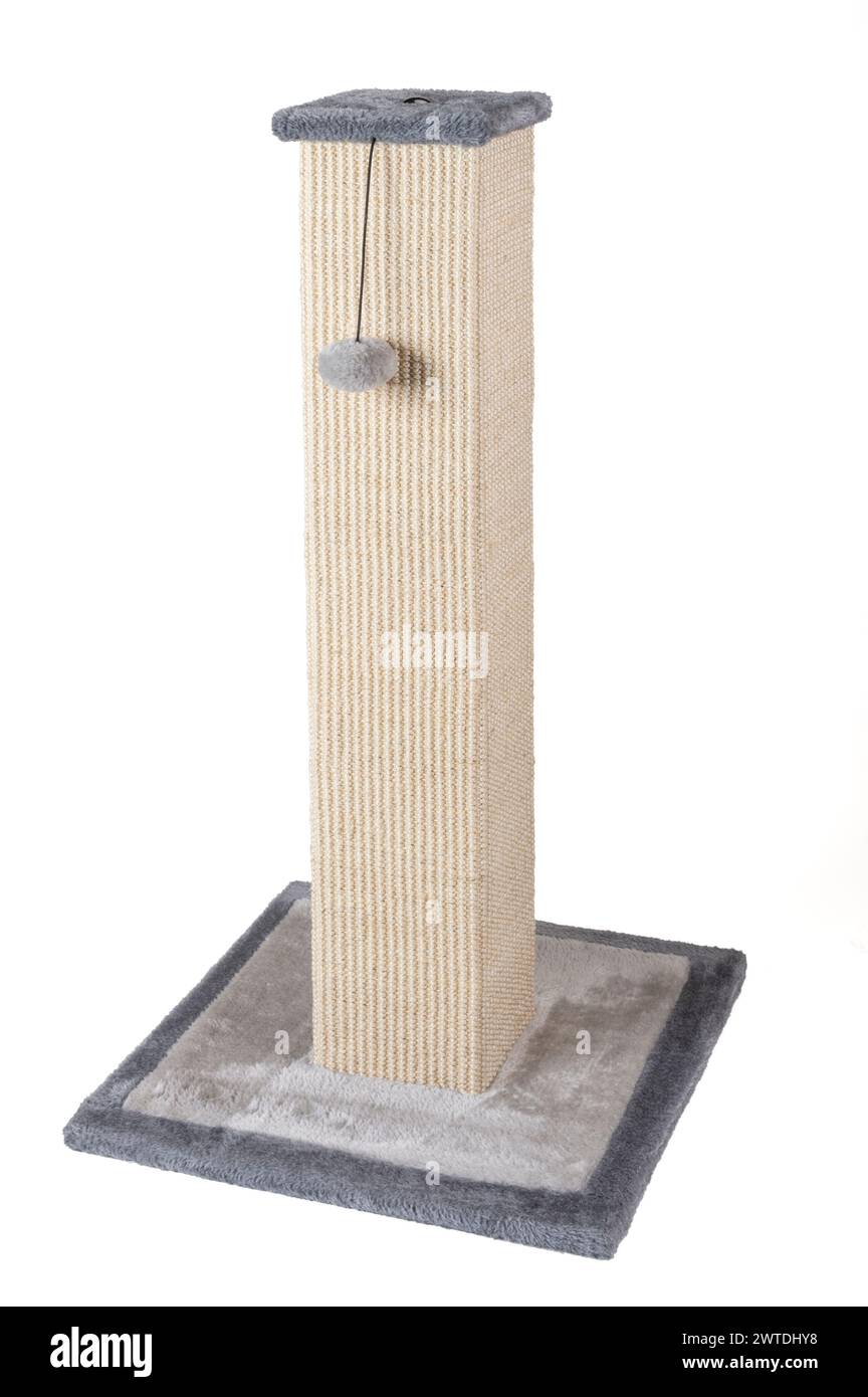 Cat claws scratching hi-res stock photography and images - Alamy