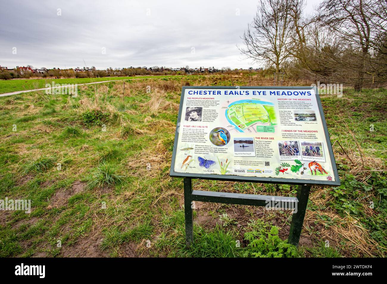 Earl's Eye Meadow nature reserve on the Cheshire floodplains of the ...