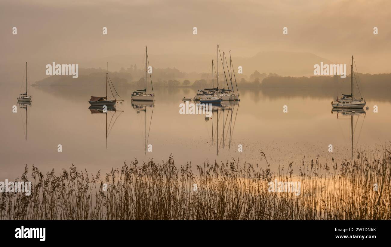 Boats on lake Windermere at Waterhead on a misty morning Stock Photo ...