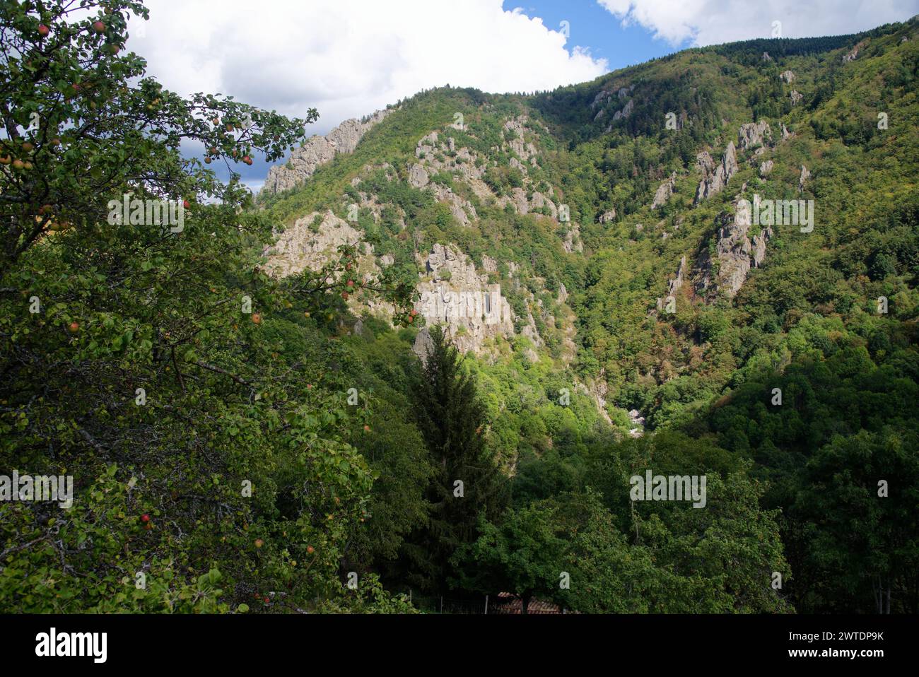 les gorges et la tour de borne au pied du petit village de Borne dans ...