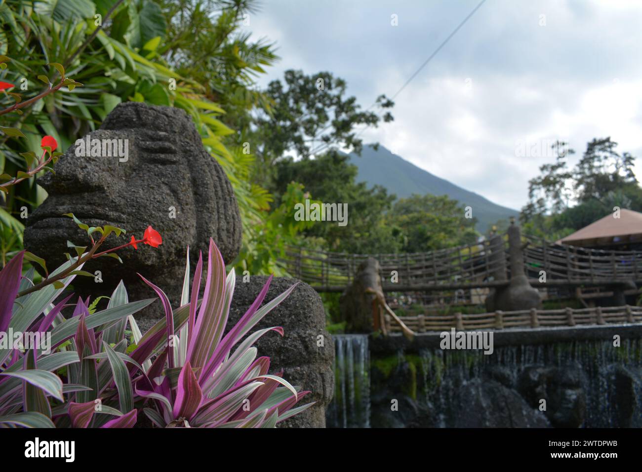 Various people involved in activities on Costa Rican beach Stock Photo ...