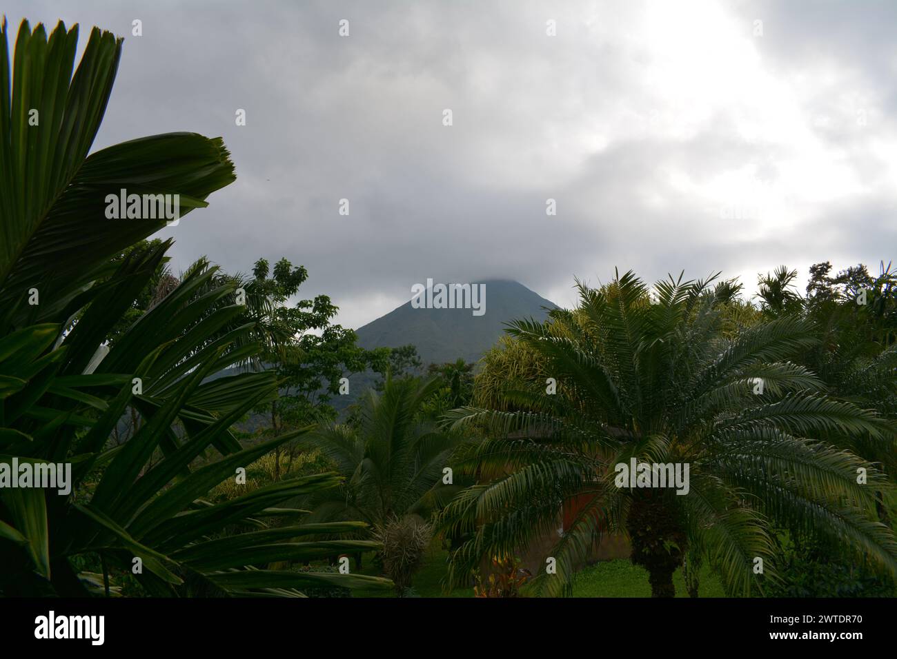 Various people involved in activities on Costa Rican beach Stock Photo ...