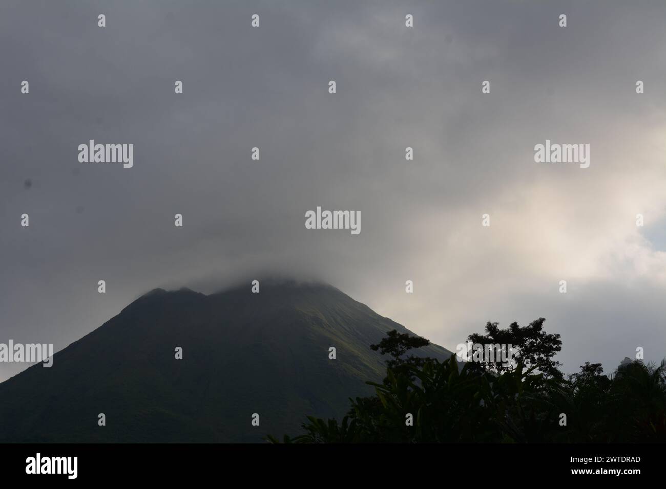 Various people involved in activities on Costa Rican beach Stock Photo ...