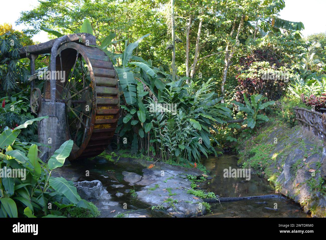 Various people involved in activities on Costa Rican beach Stock Photo ...