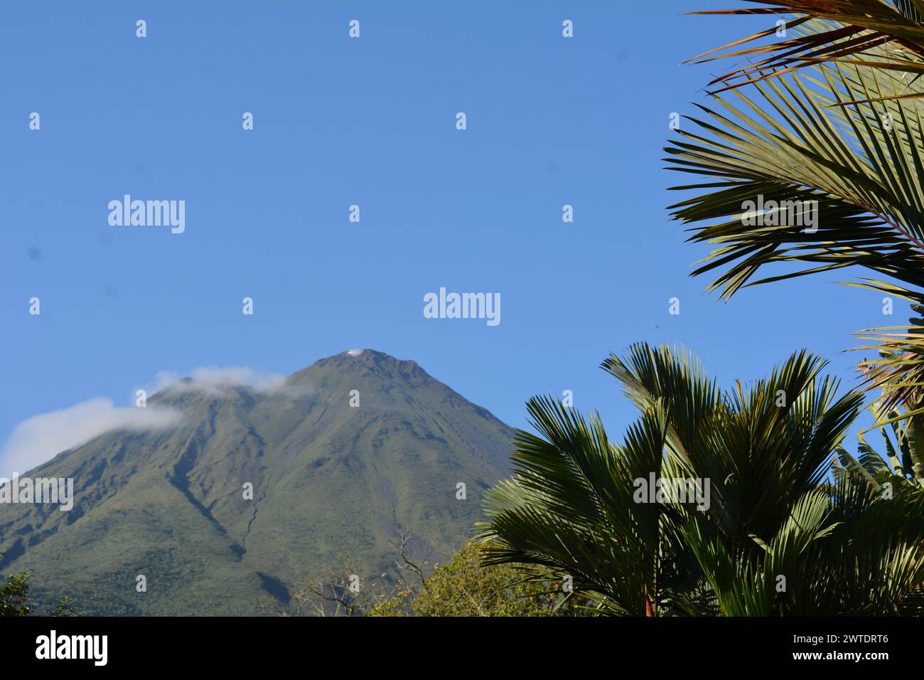 Various people involved in activities on Costa Rican beach Stock Photo ...