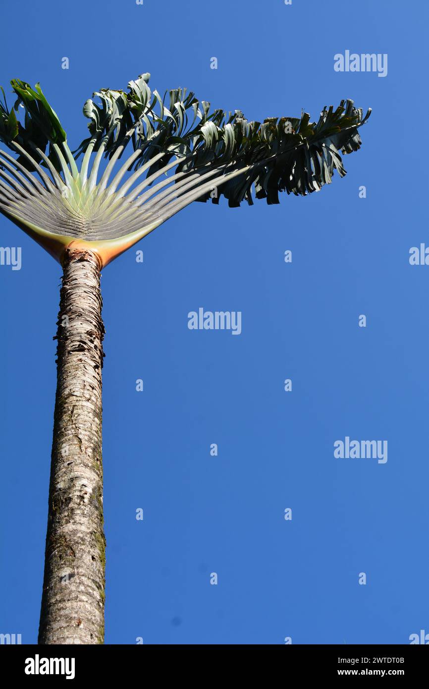 Hot spring bath at a resort by Mount Arenal volcano in Costa Rica Stock ...
