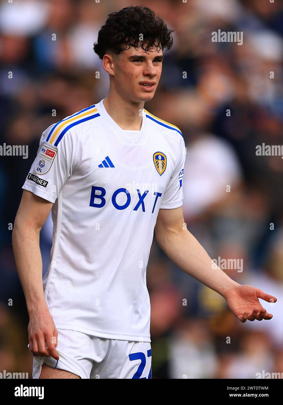 Archie gray leeds hi-res stock photography and images - Alamy