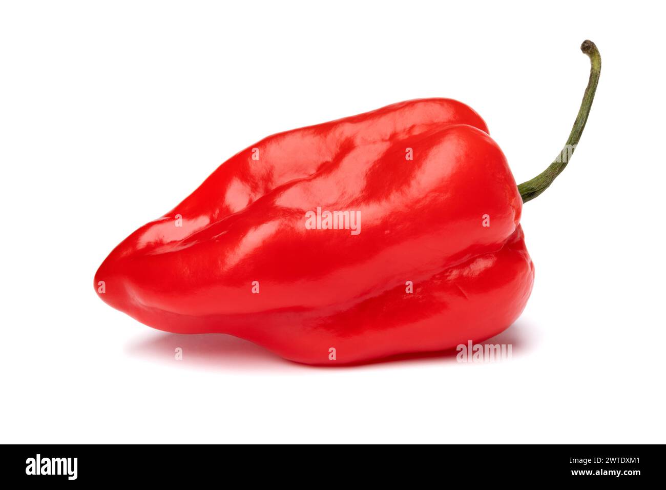 Single fresh raw red Adjuma pepper close up isolated on white ...
