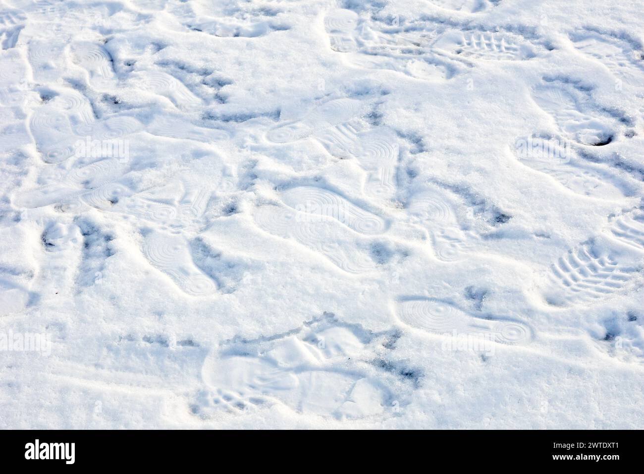 Footprints in the snow, close up of a mish-mash of several bootprints ...