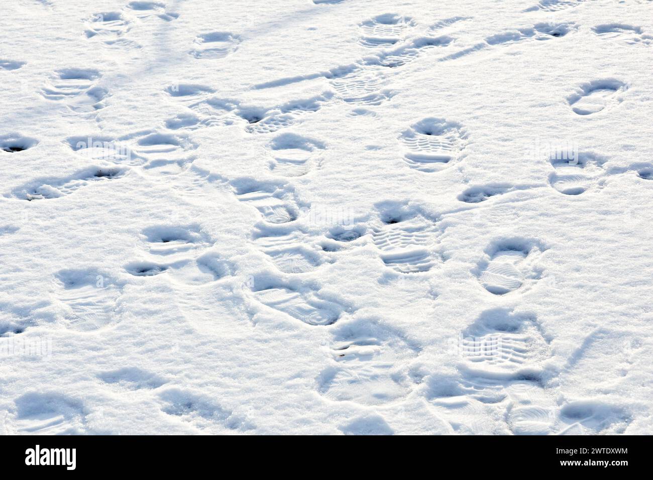 Footprints in the snow, close up of several tracks of bootprints and ...