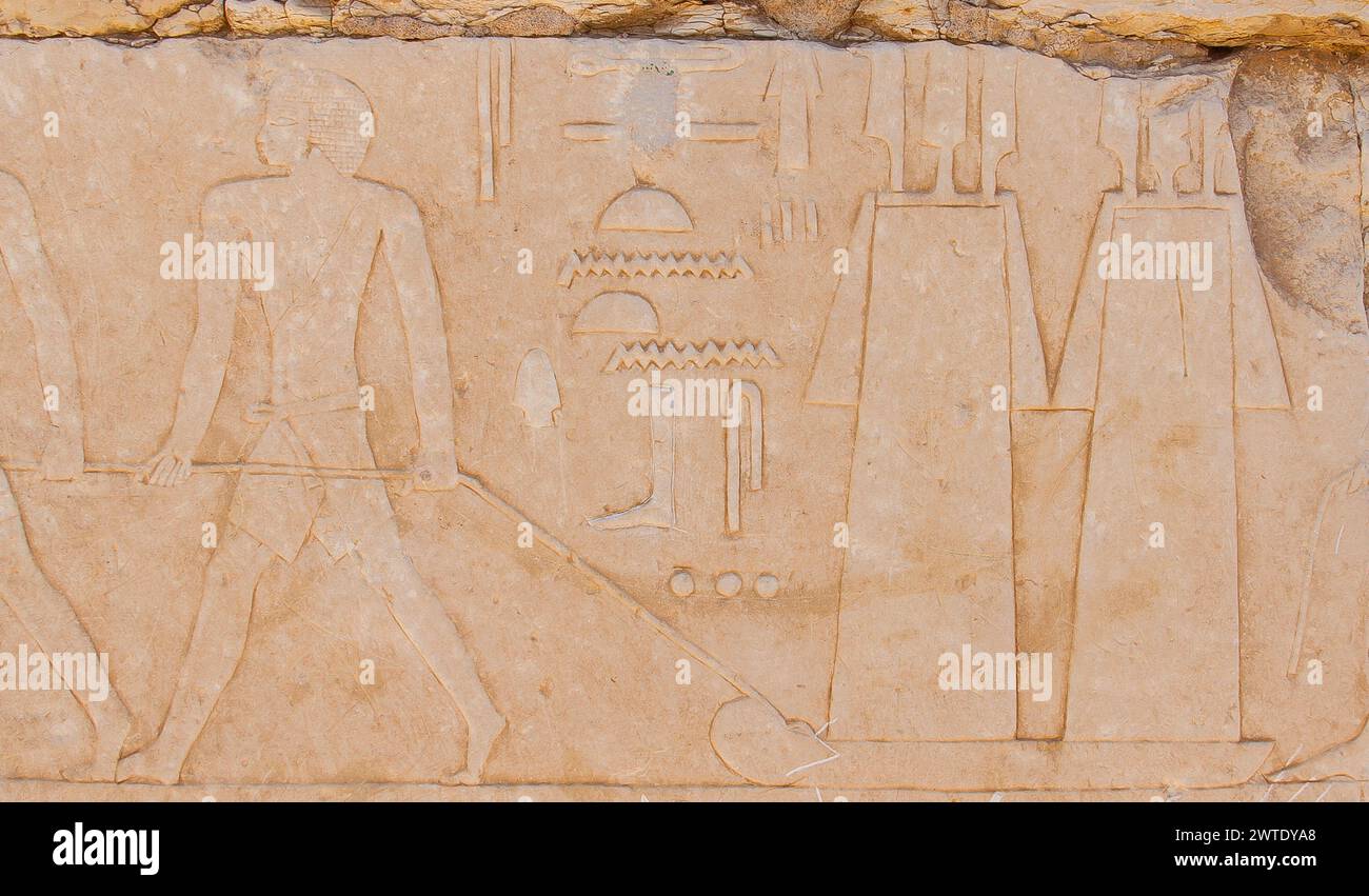 Egypt, Saqqara, near Unas causeway, Khenut mastaba : Men pulling ...
