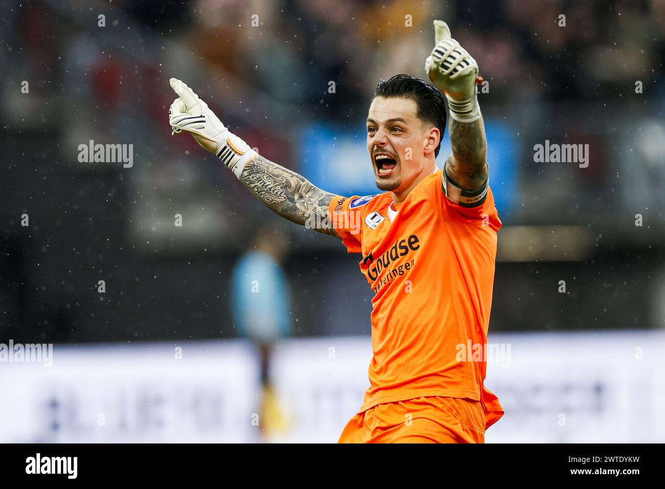 ROTTERDAM - Sparta Rotterdam goalkeeper Nick Olij celebrates the 1-0 ...