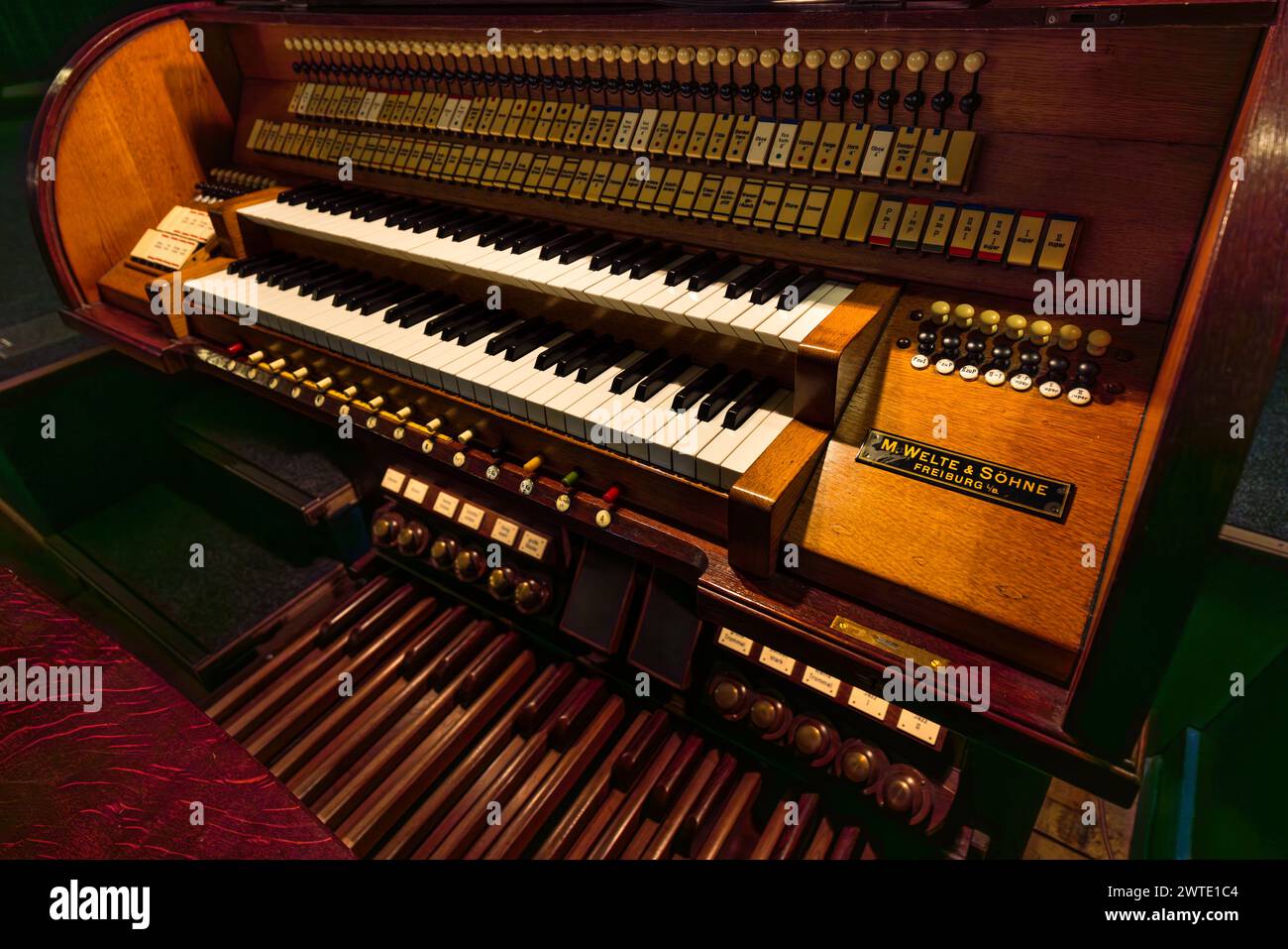 Human body organs hi-res stock photography and images - Alamy