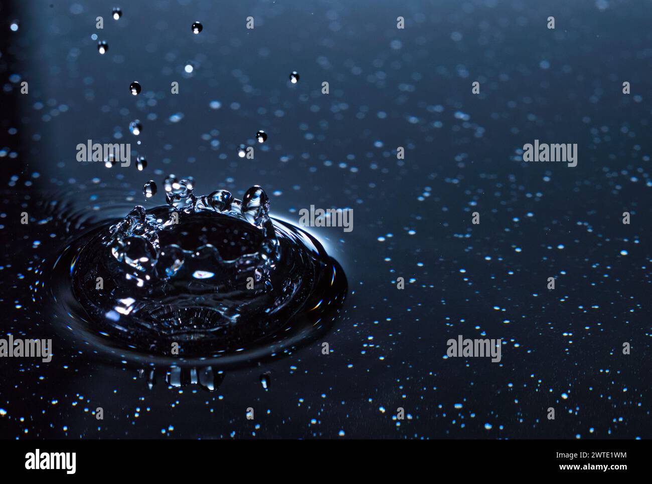 Swiat makro hi-res stock photography and images - Alamy