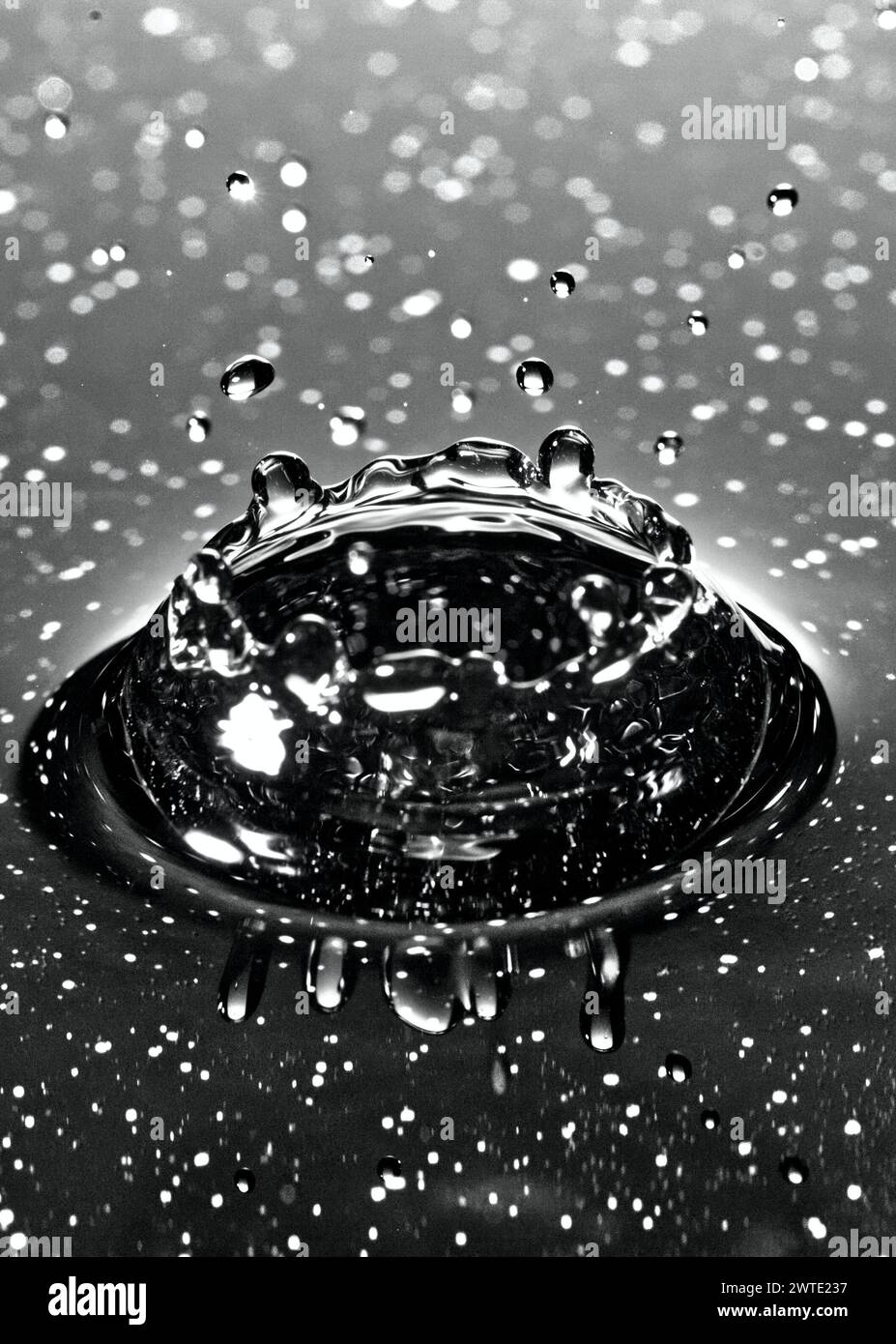 Splash - falling water drops in color macro shot Stock Photo - Alamy