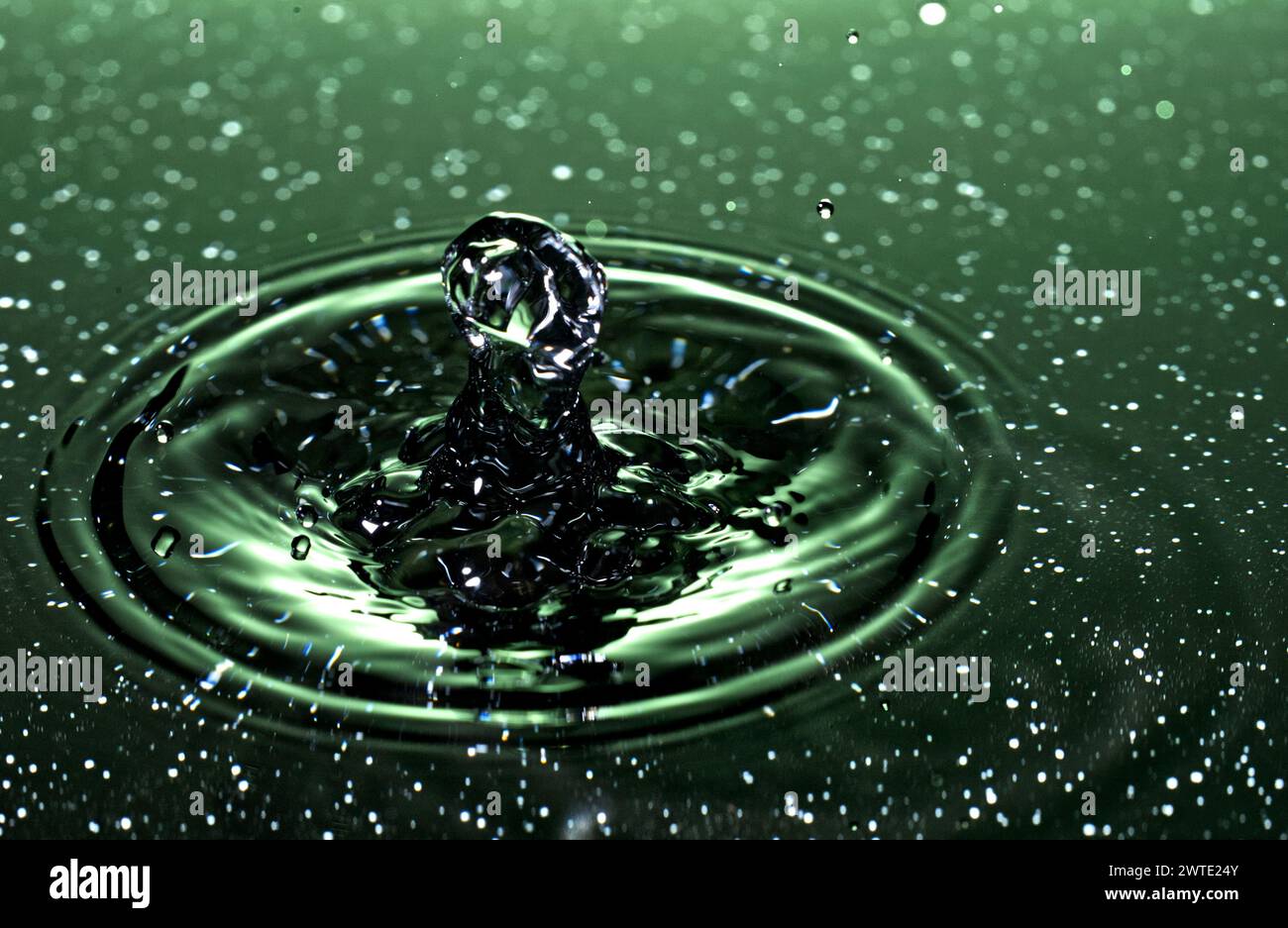 Splash - falling water drops in color macro shot Stock Photo - Alamy