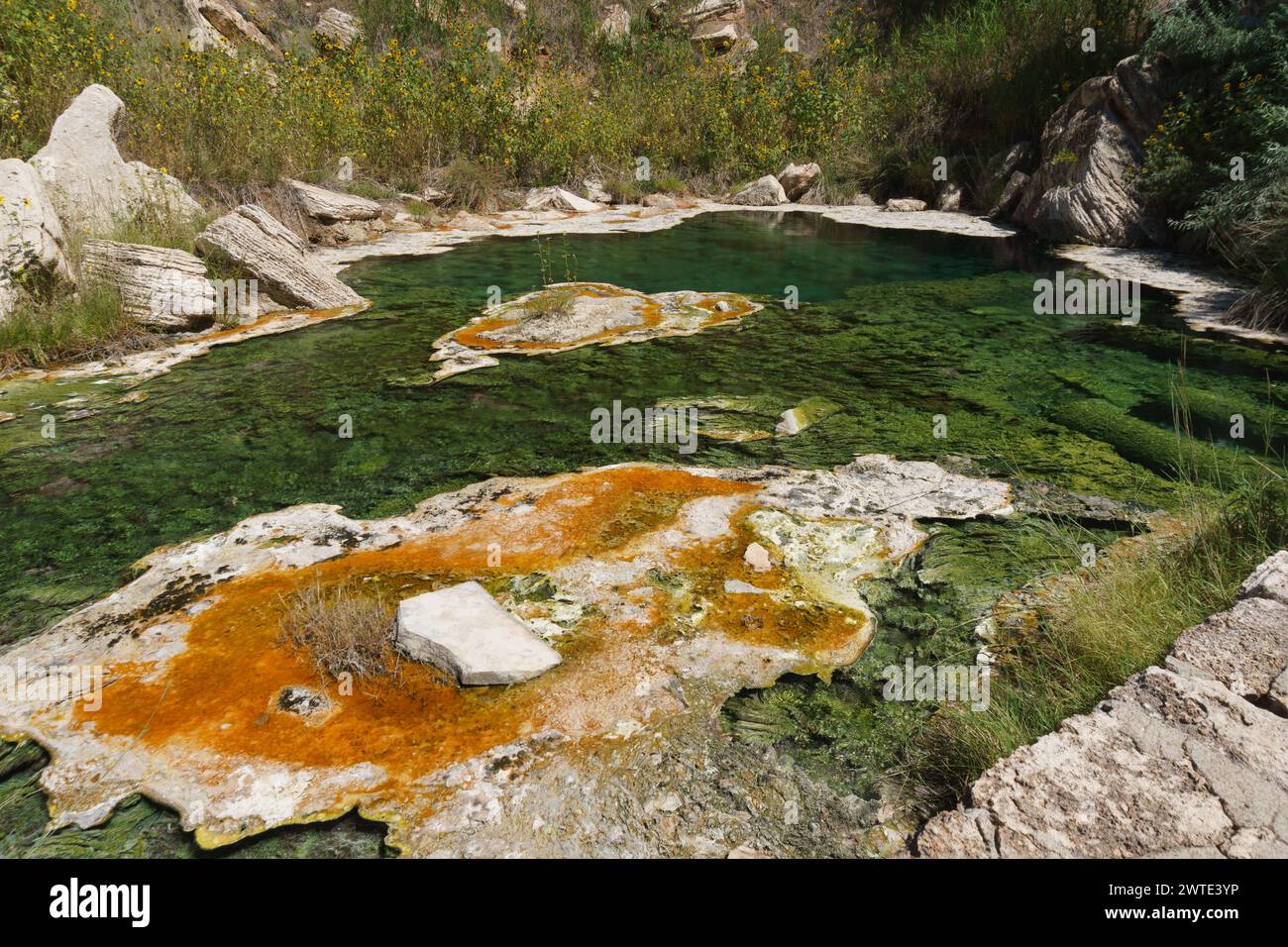 Thermopolis Wyoming Hot Springs, Worlds largest mineral hot springs ...