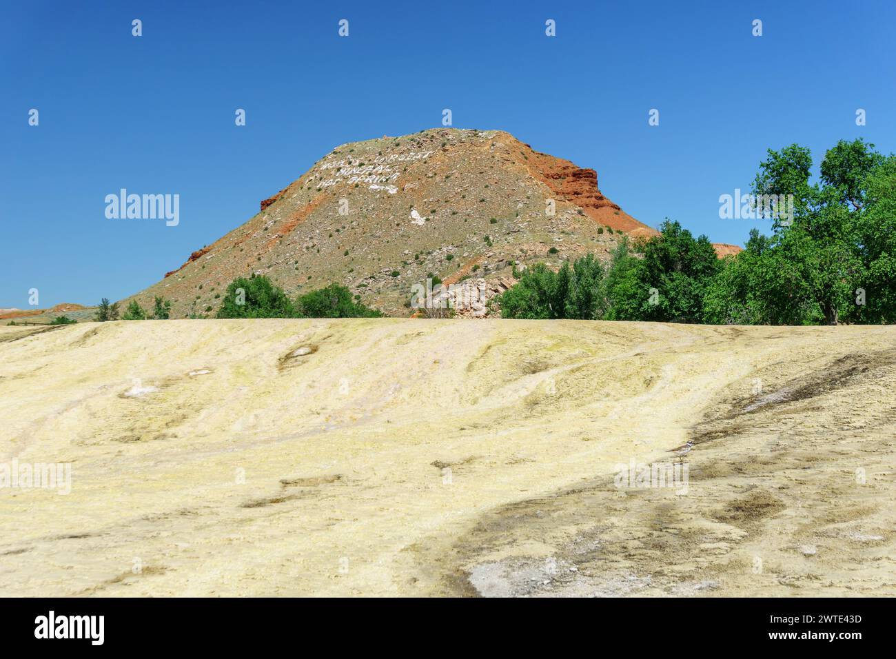 Thermopolis Wyoming Hot Springs, Worlds largest mineral hot springs ...