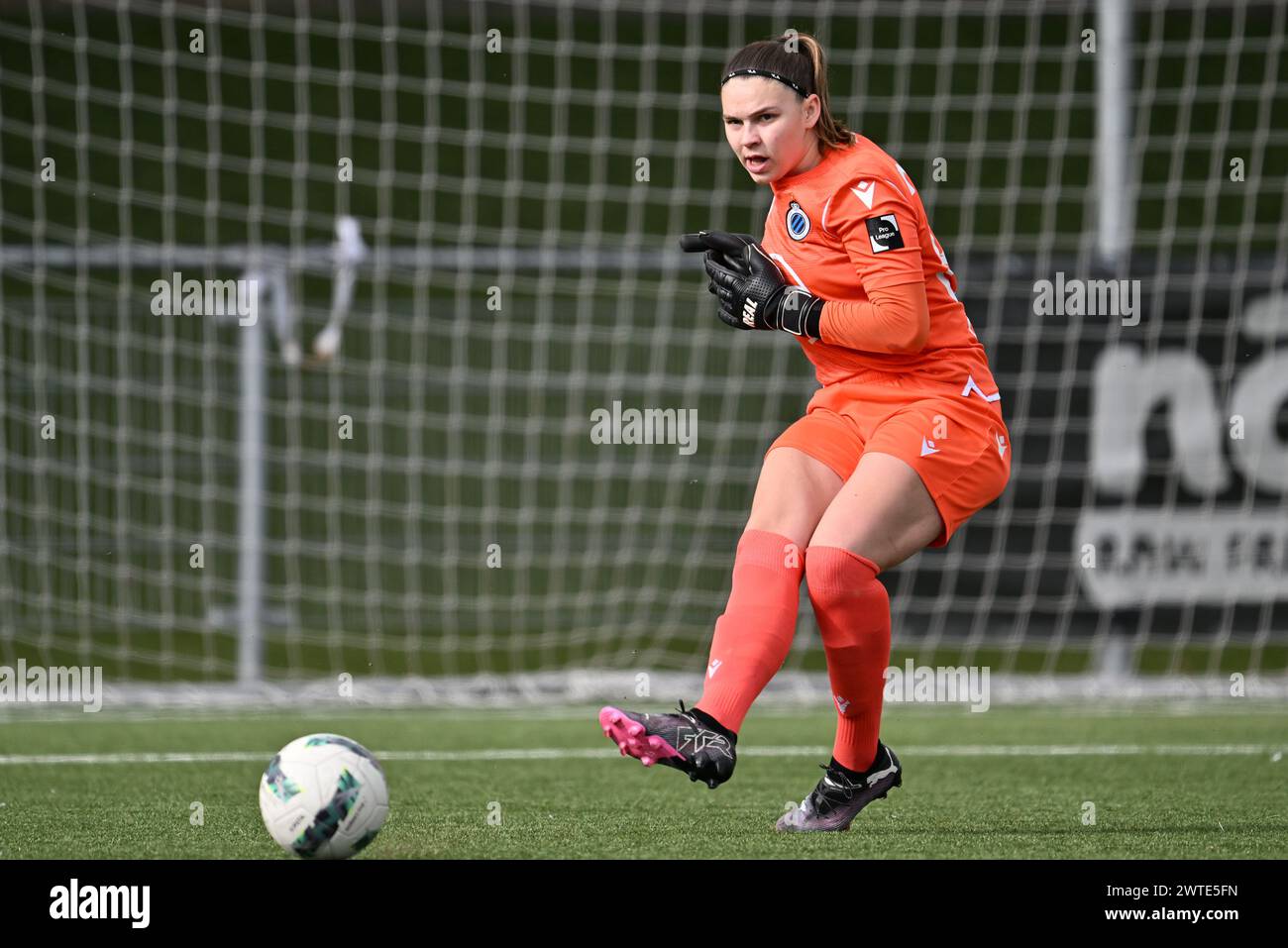 Aalter, Belgium. 16th Mar, 2024. goalkeeper Jorijn Covent (87) of Club YLA pictured during a ...
