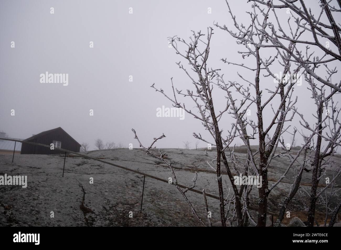 JURMO, REMOTE BALTIC SEA ISLAND, IN FREEZING FOG: A foggy winter day in ...