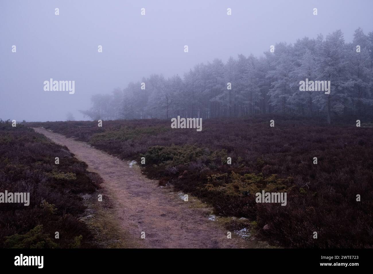JURMO, REMOTE BALTIC SEA ISLAND, IN FREEZING FOG: A foggy winter day in ...