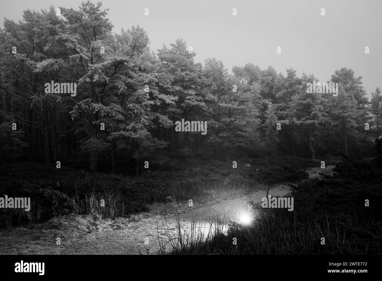 JURMO, REMOTE BALTIC SEA ISLAND, IN FREEZING FOG: A foggy winter day in ...