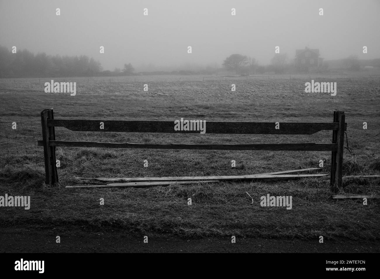 JURMO, REMOTE BALTIC SEA ISLAND, IN FREEZING FOG: A foggy winter day in ...