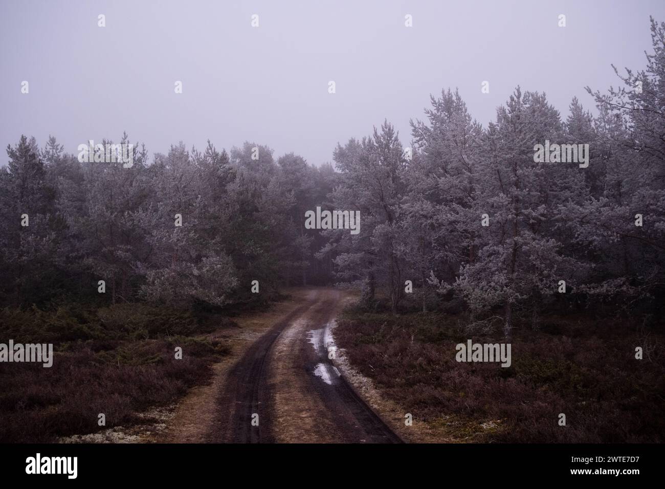 JURMO, REMOTE BALTIC SEA ISLAND, IN FREEZING FOG: A foggy winter day in ...