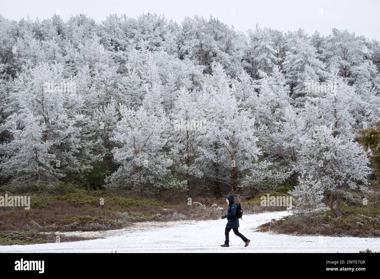 JURMO, REMOTE BALTIC SEA ISLAND, IN FREEZING FOG: A foggy winter day in ...
