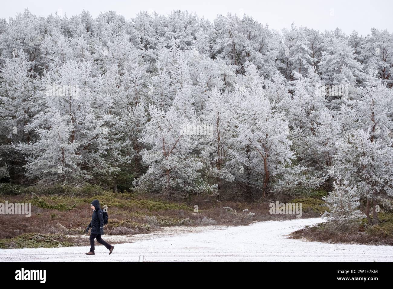 JURMO, REMOTE BALTIC SEA ISLAND, IN FREEZING FOG: A foggy winter day in ...
