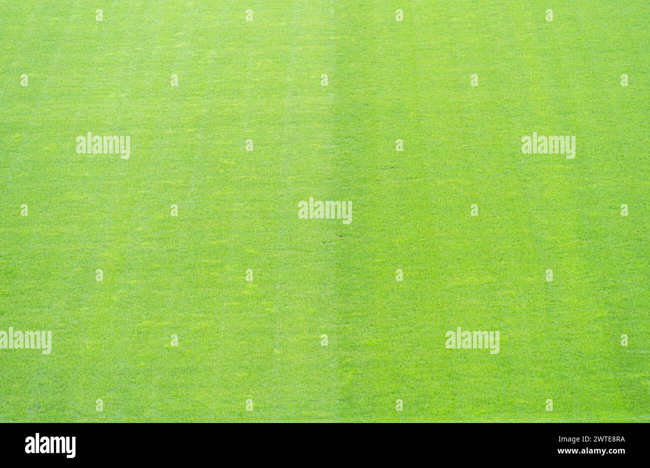 Natural green grass lawn soccer field. Football arena texture ...