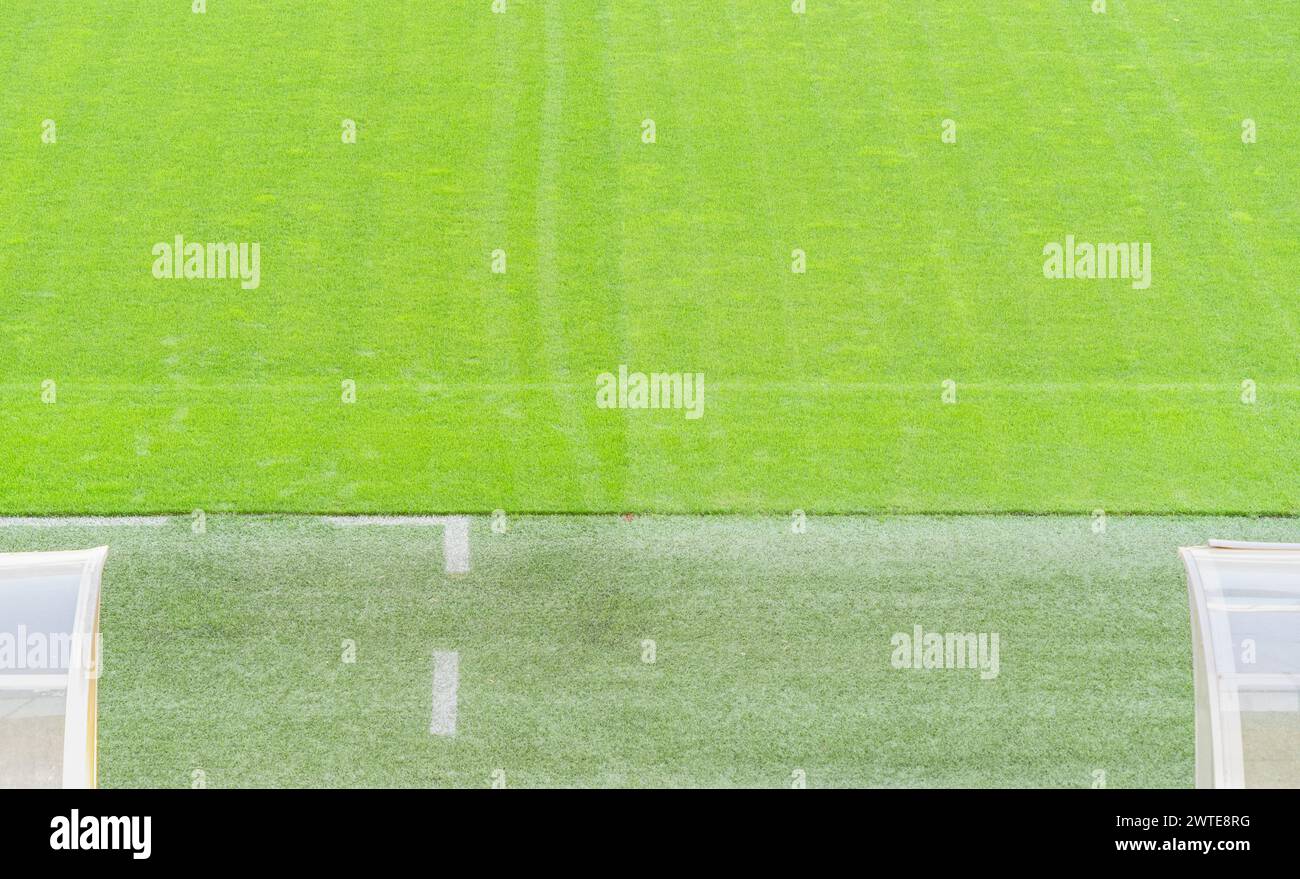 Natural green grass lawn soccer field. Football arena texture ...