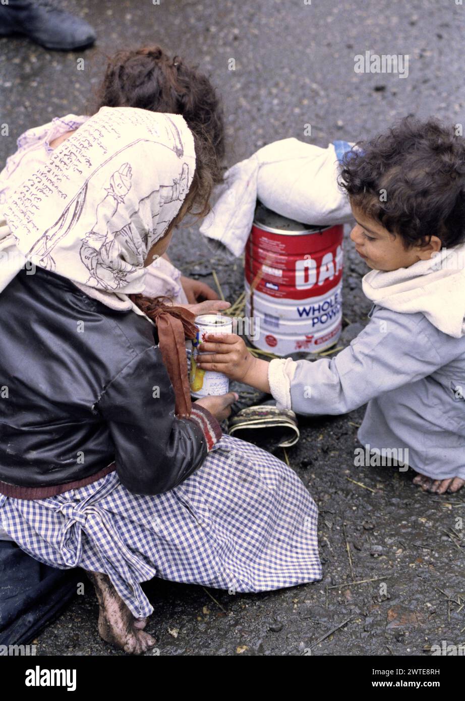 First Gulf War: 23rd March 1991 Barefoot Iraqi children share a can of ...