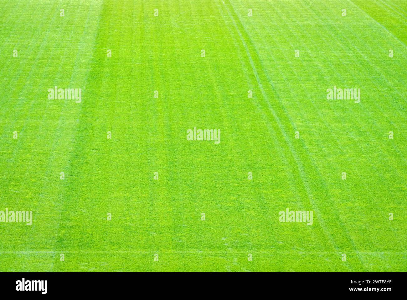Natural green grass lawn soccer field. Football arena texture ...