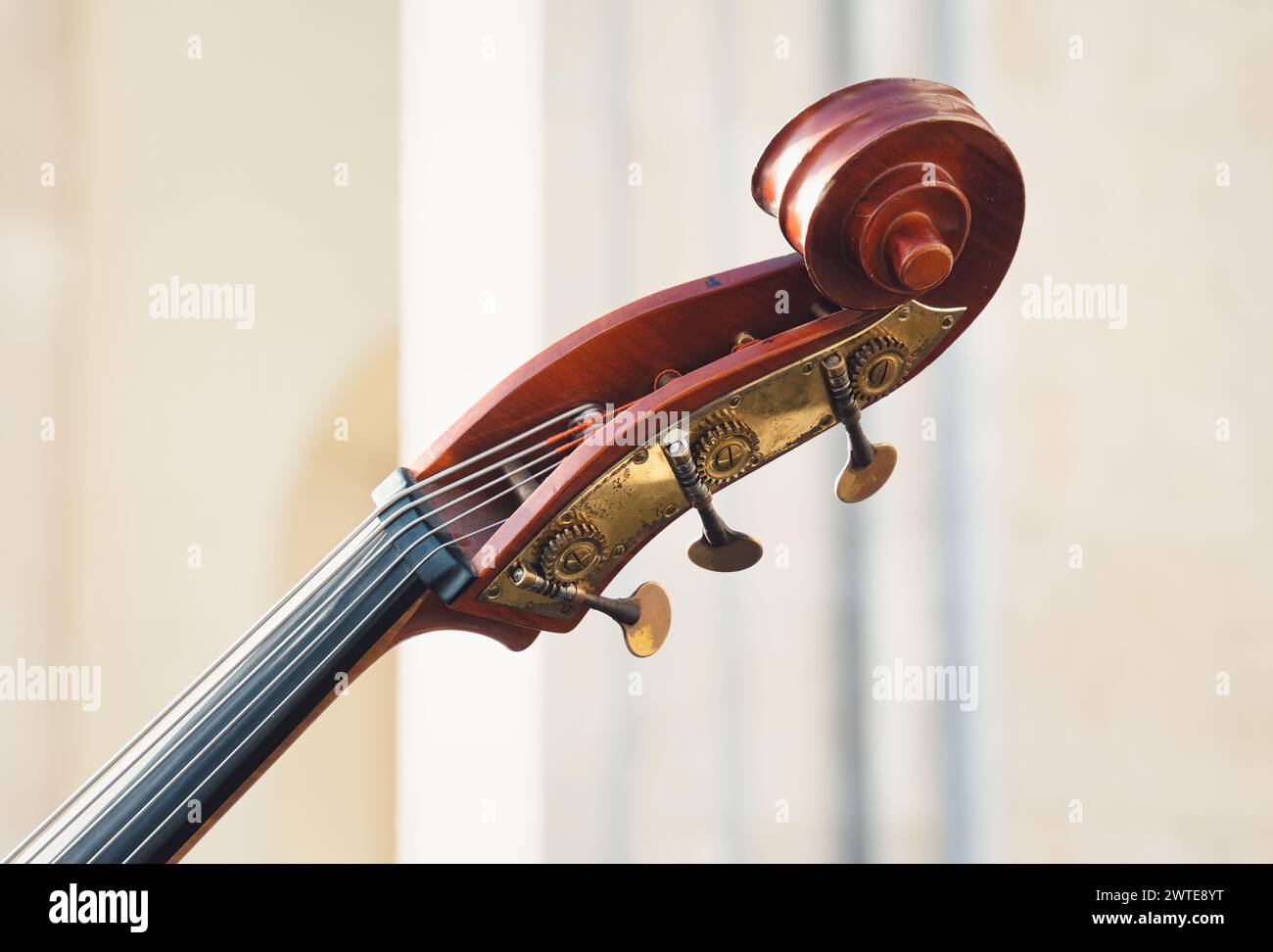Cello close up scroll peg hi-res stock photography and images - Alamy