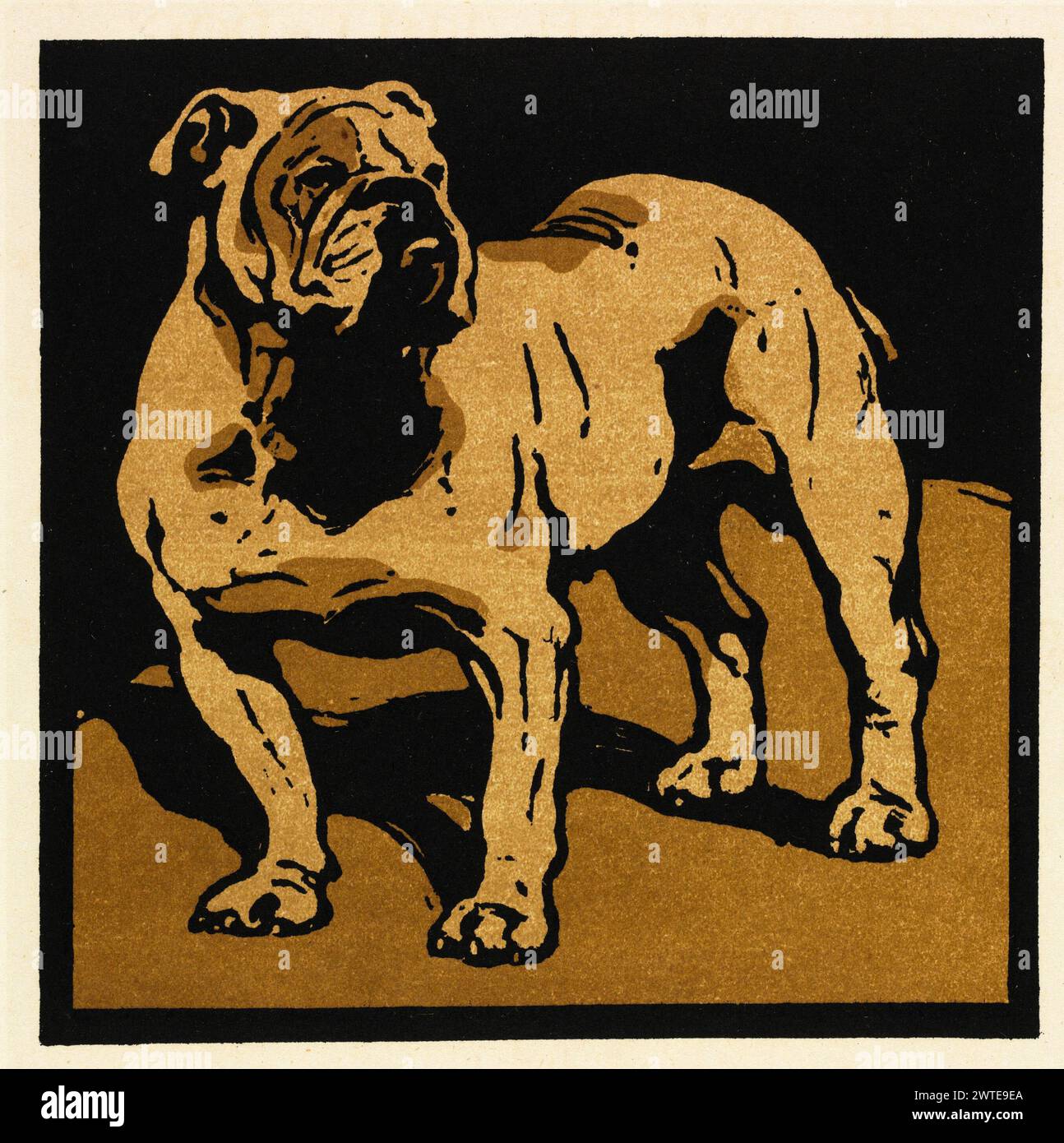 The Square Book of Animals: The British Bull-Dog. William Nicholson ...