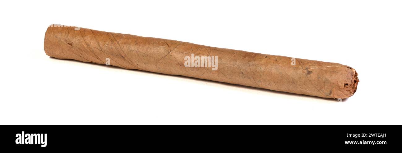 Cigar, close up.- Isolated on a white background Stock Photo - Alamy