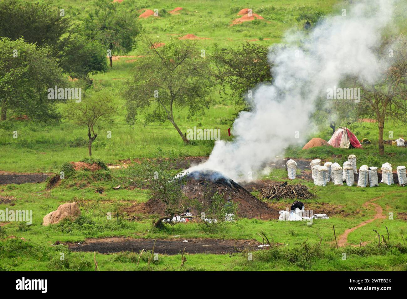 Smoking mound of wood due to burning bush wood in traditional charcoal ...