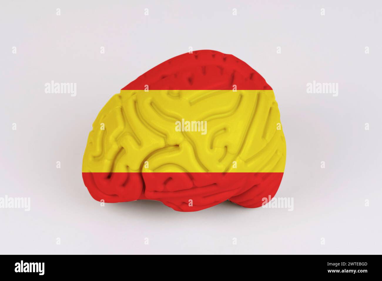 On a white background, a model of the brain with a picture of a flag ...