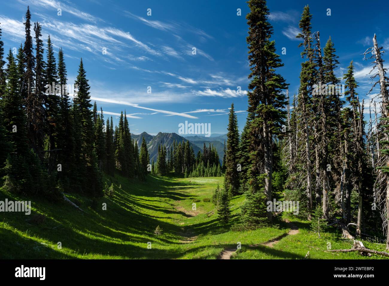 Hiking trail through hilly hi-res stock photography and images - Alamy