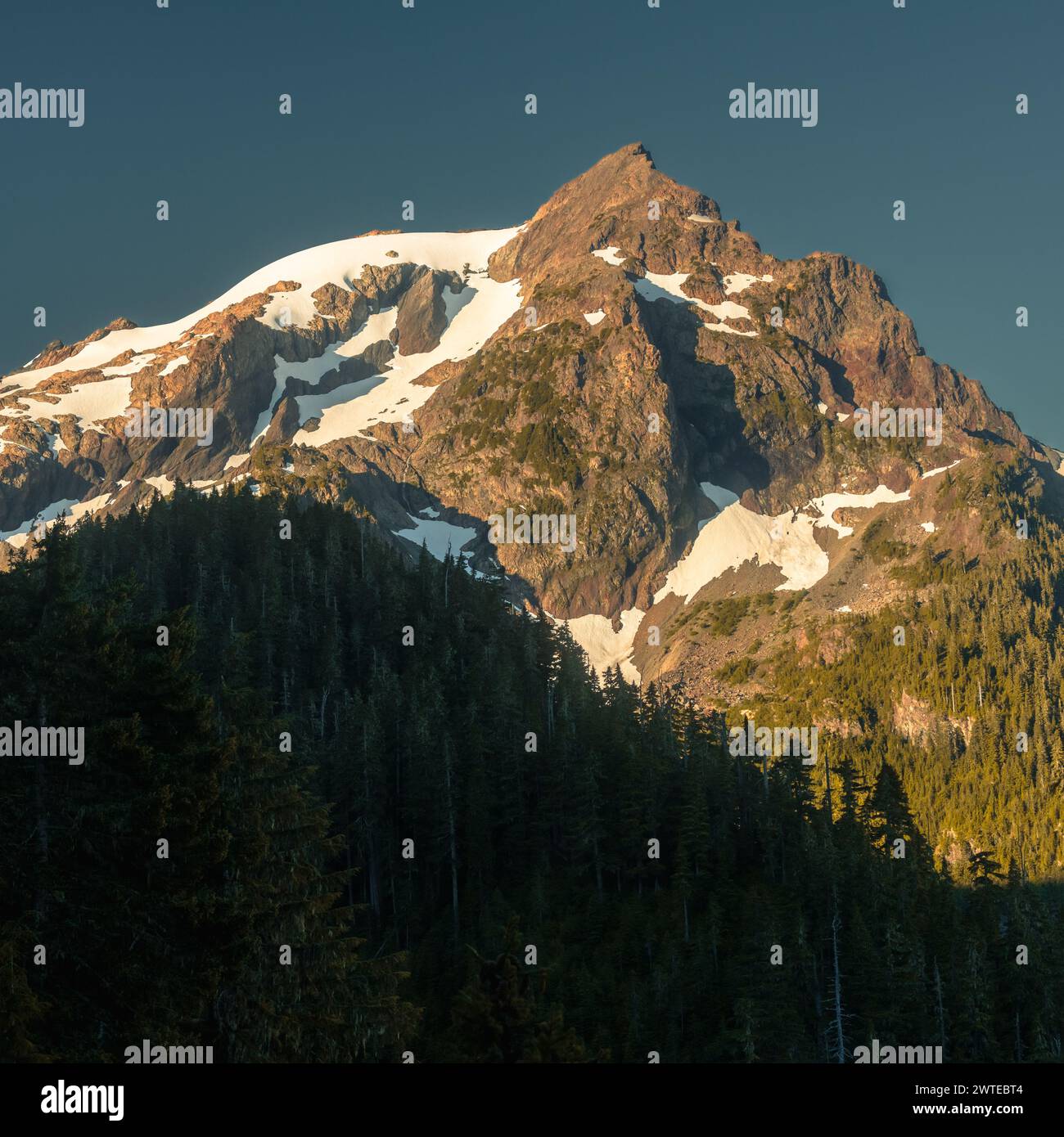 Morning Light Shines on the Summit of Mount Olympus in Washington Stock ...