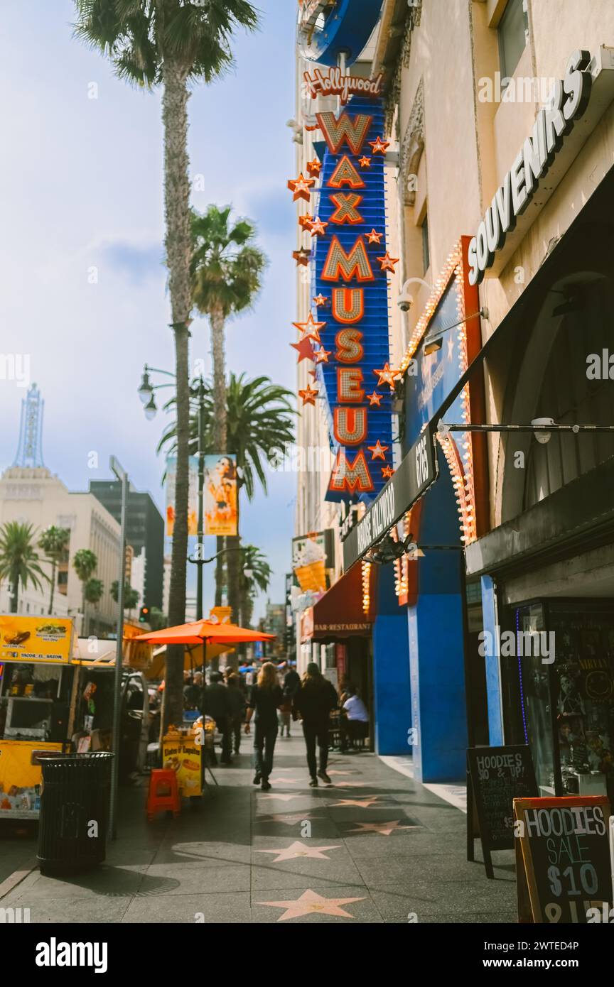 16 March 2024, Los Angeles USA. Hollywood Boulevard Walk of Fame The ...