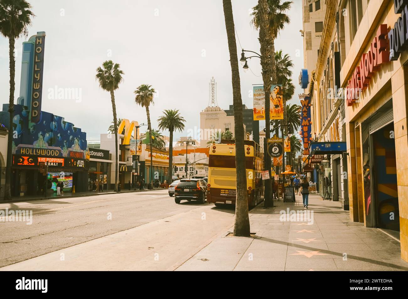 16 March 2024, Los Angeles USA. Hollywood Boulevard Walk of Fame The ...