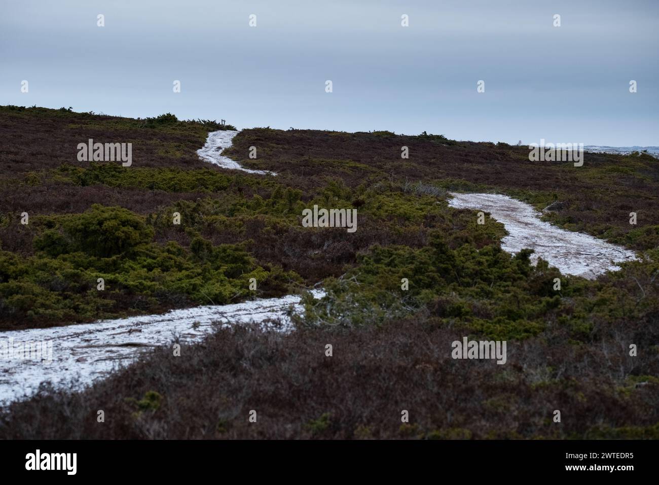 SNOW COVERED, WINDING PATH, LONLEY ROAD, DESOLATE LANDSCAPE: A snow ...