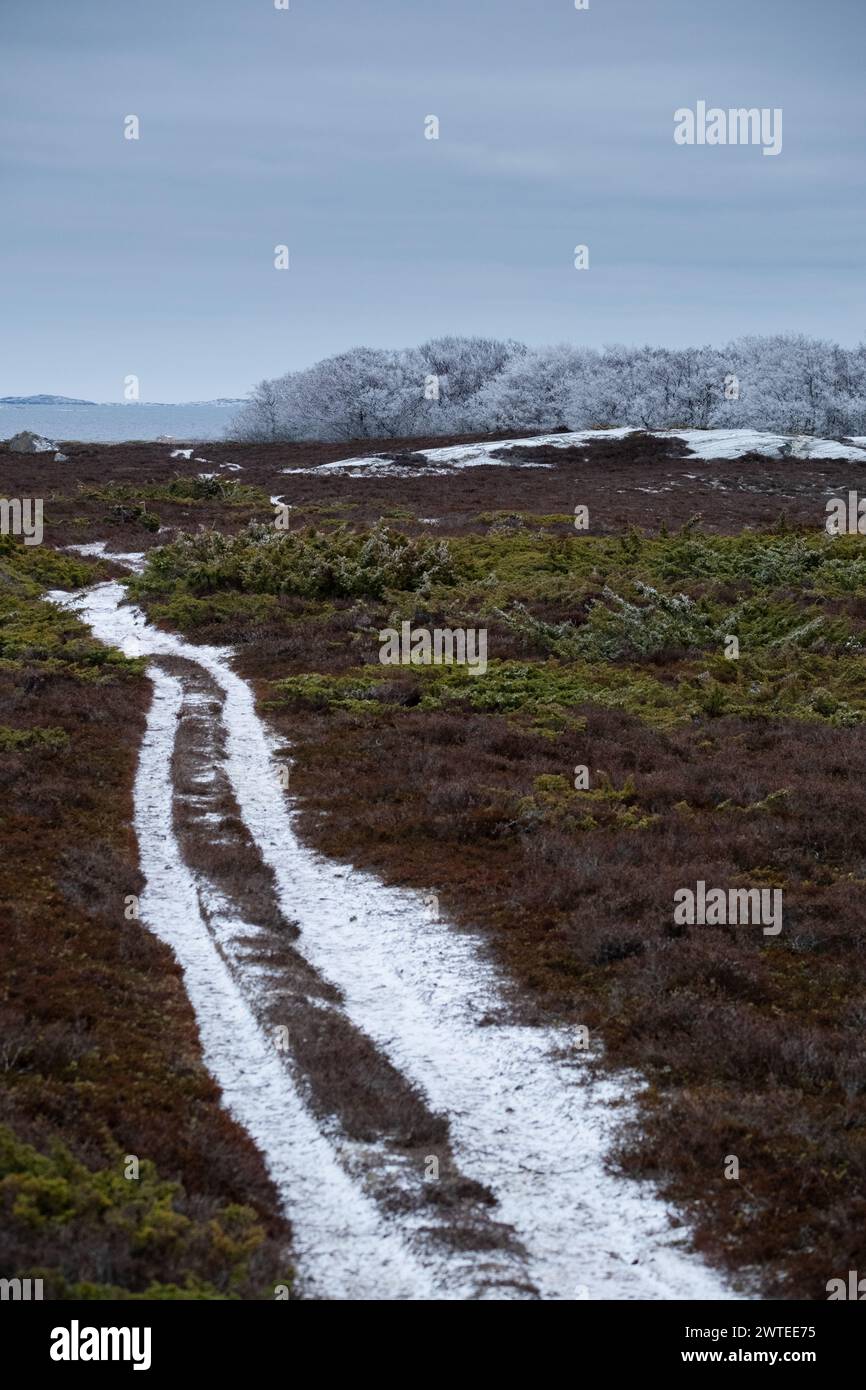 SNOW COVERED, WINDING PATH, LONLEY ROAD, DESOLATE LANDSCAPE: A snow ...