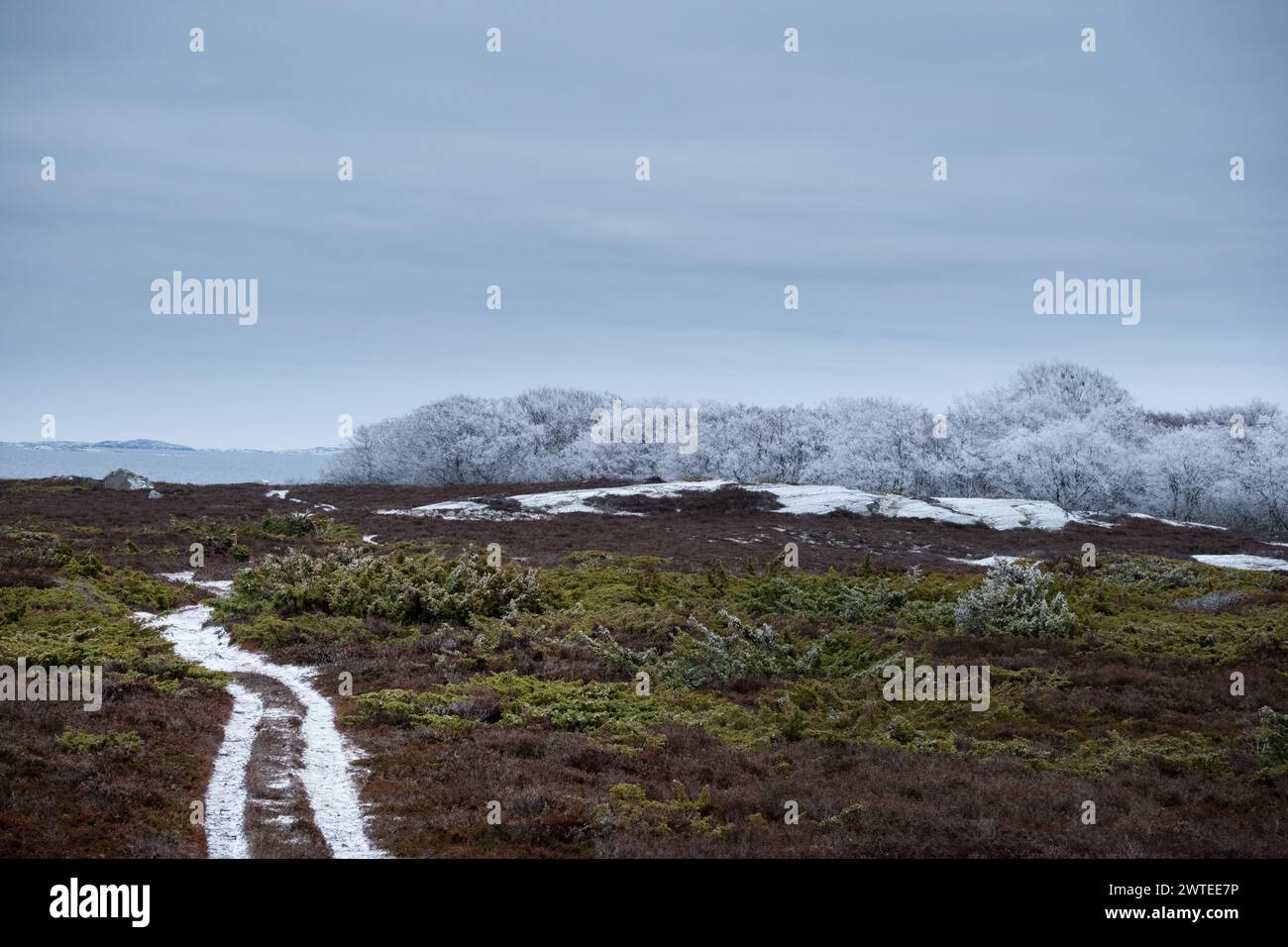 SNOW COVERED, WINDING PATH, LONLEY ROAD, DESOLATE LANDSCAPE: A snow covered road path snakes its ...