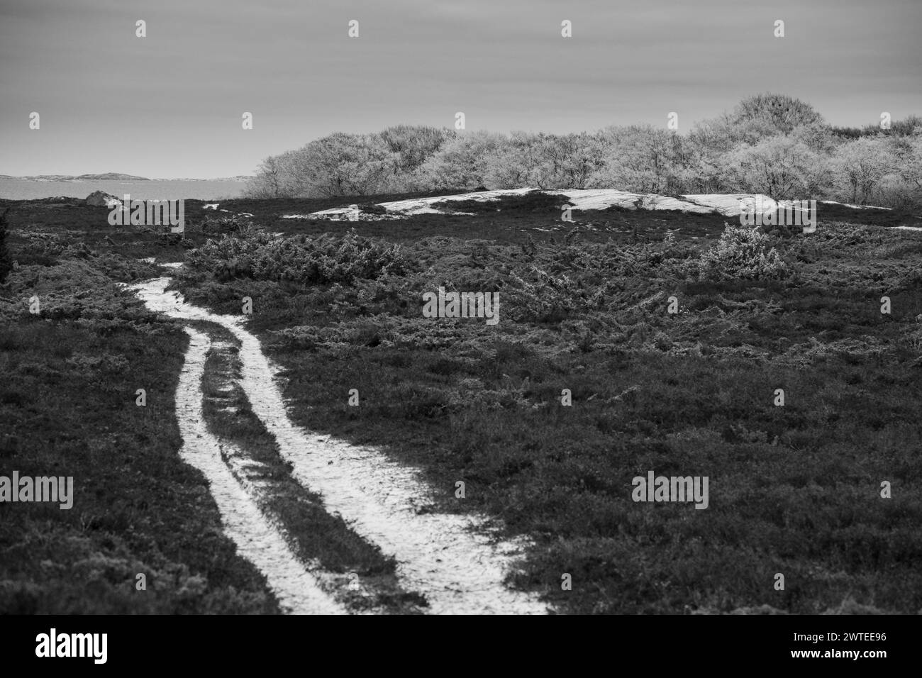 SNOW COVERED, WINDING PATH, LONLEY ROAD, DESOLATE LANDSCAPE: A snow ...
