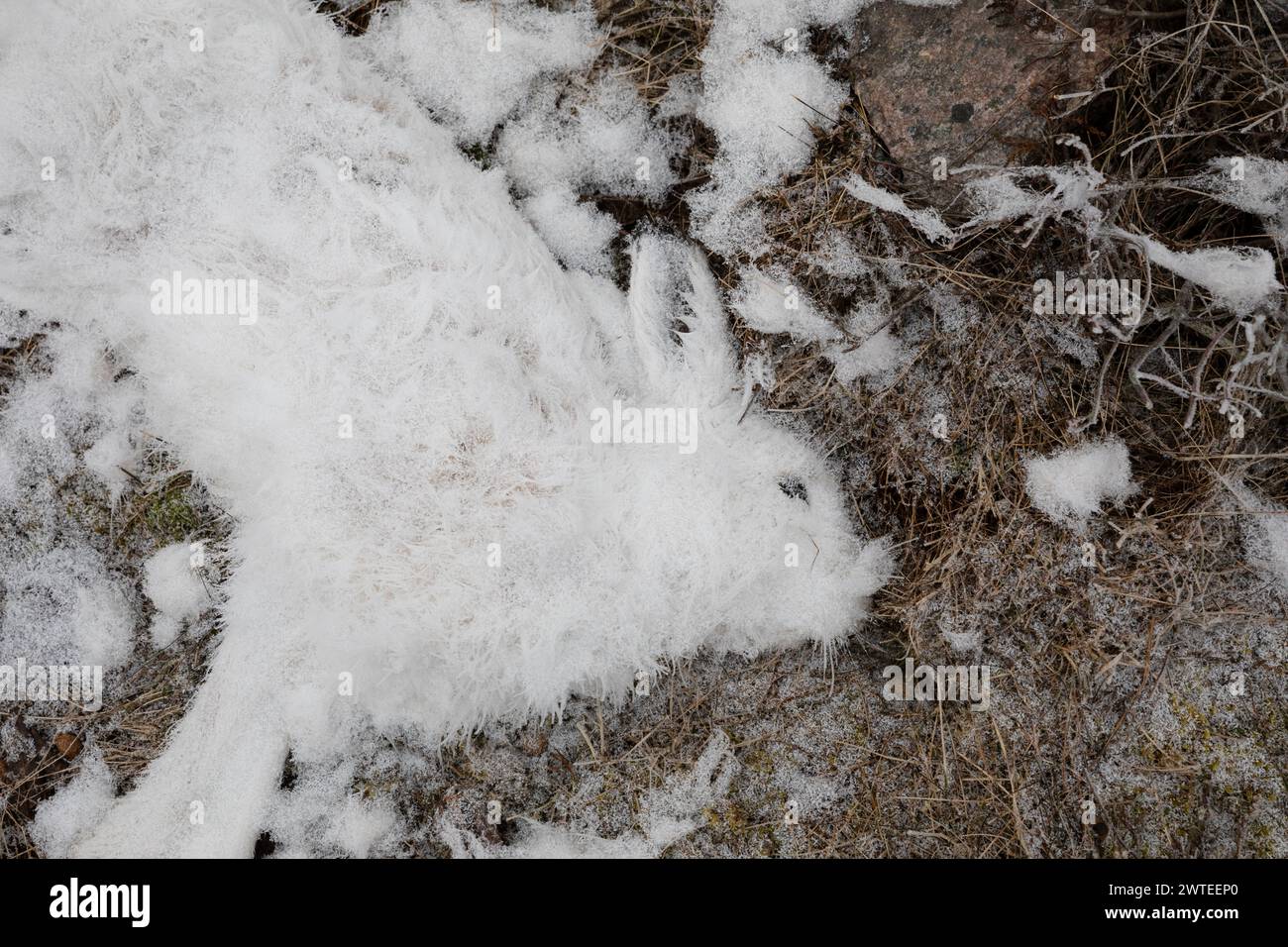 JURMO, REMOTE BALTIC SEA ISLAND, IN FREEZING FOG: A foggy winter day in ...